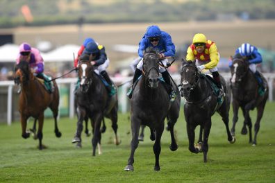 Horse Racing | Haydock Sprint Cup | Preview and Odds | Grosvenor Blog