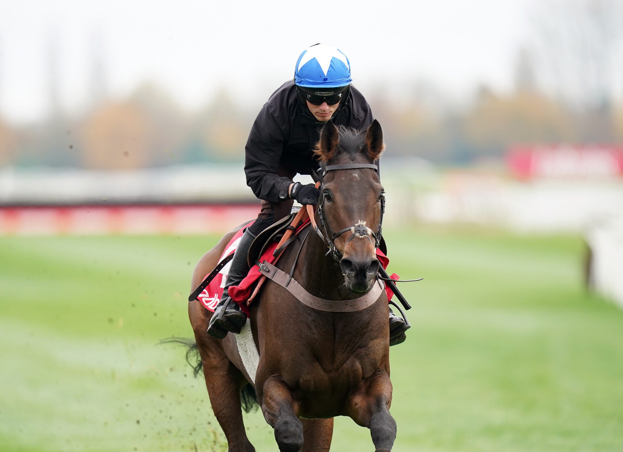 Harry Fry Weekend Blog | Grosvenor Blog